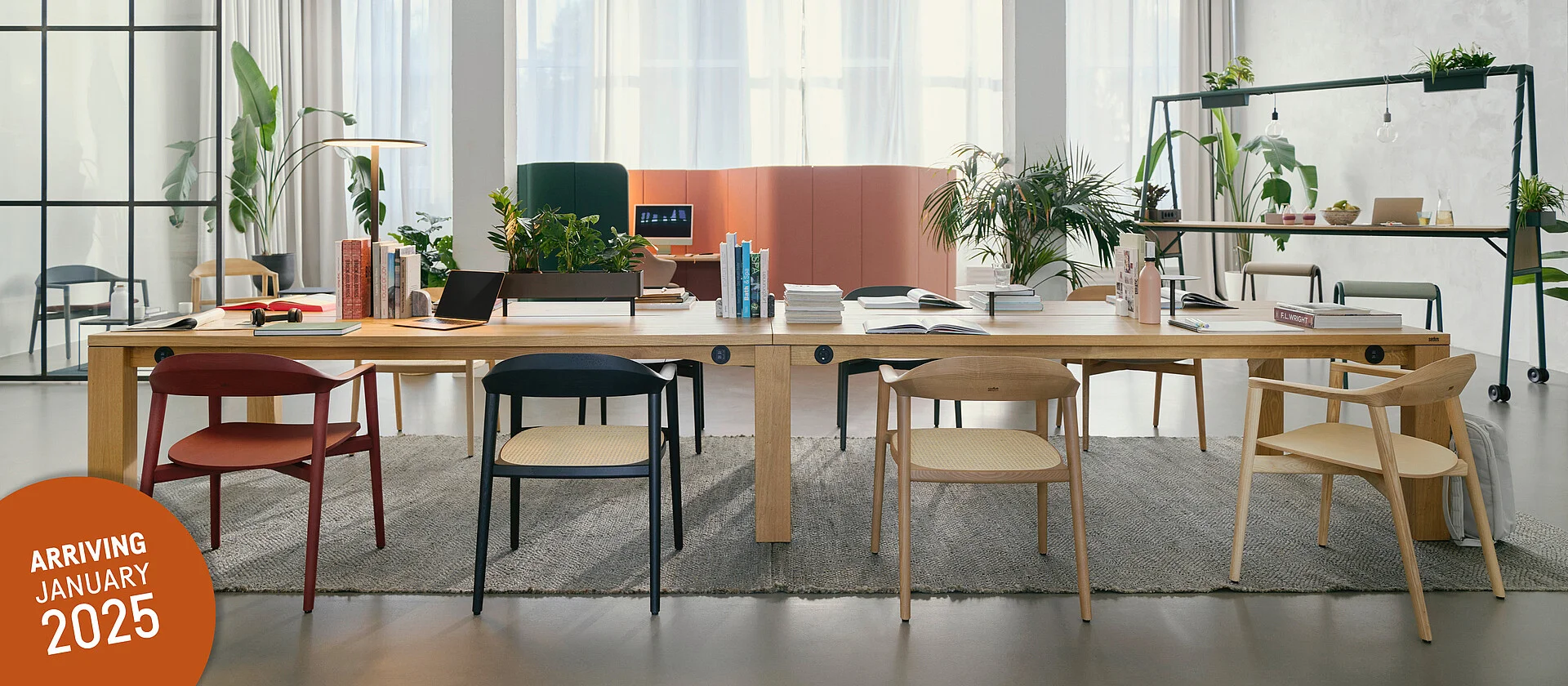 se:cafe wooden chair and lounge – Interoffice